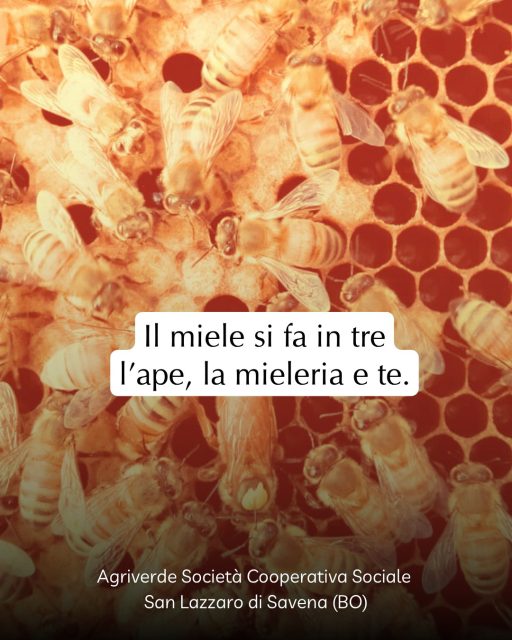 Eventi e luoghi per conoscere api e miele | Mielerie Aperte