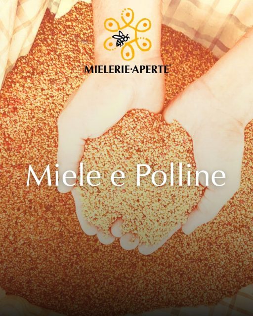 Eventi e luoghi per conoscere api e miele | Mielerie Aperte